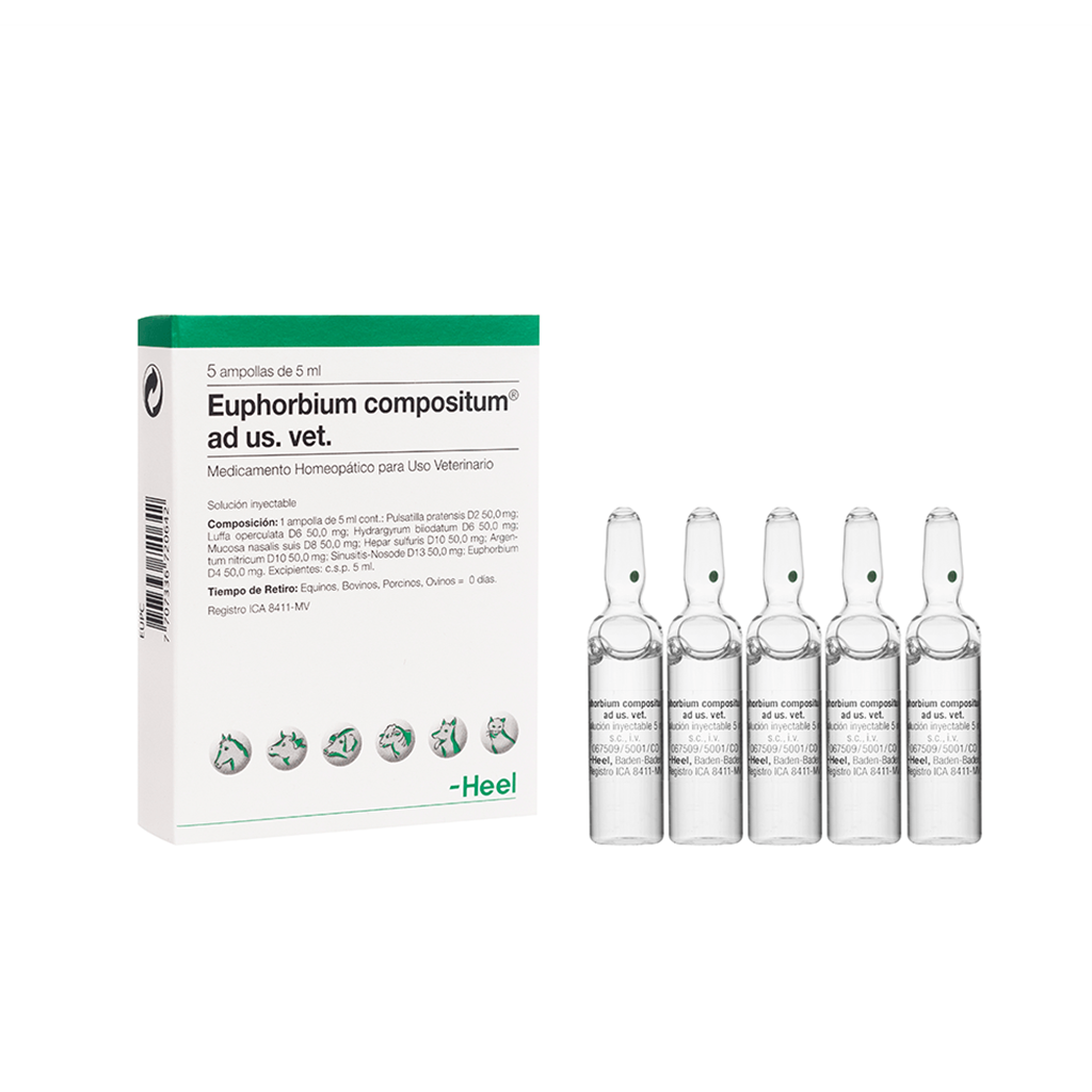 Euphorbium compositum caja x5 ampolletas (inyectable) – Honesto